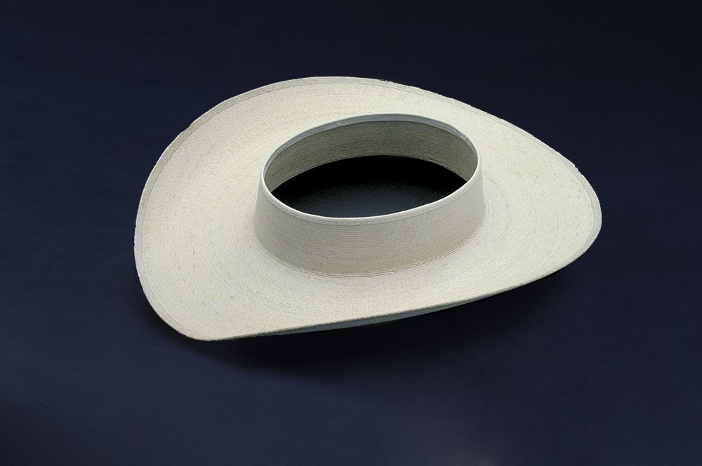 Visor